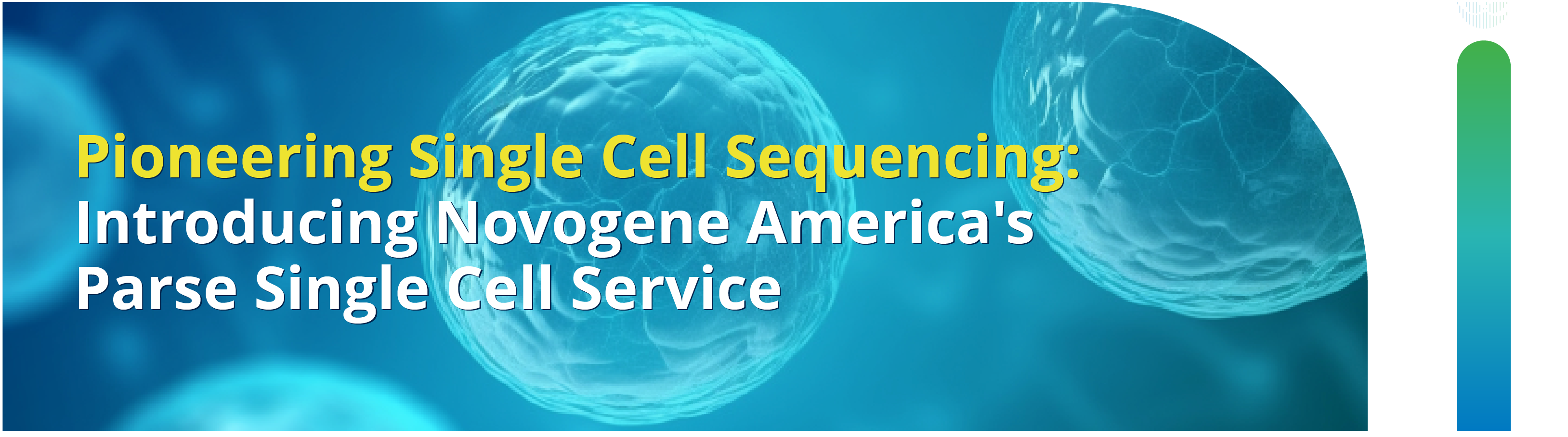 Pioneering Single Cell Sequencing Introducing Novogene Americas Parse Single Cell Service 